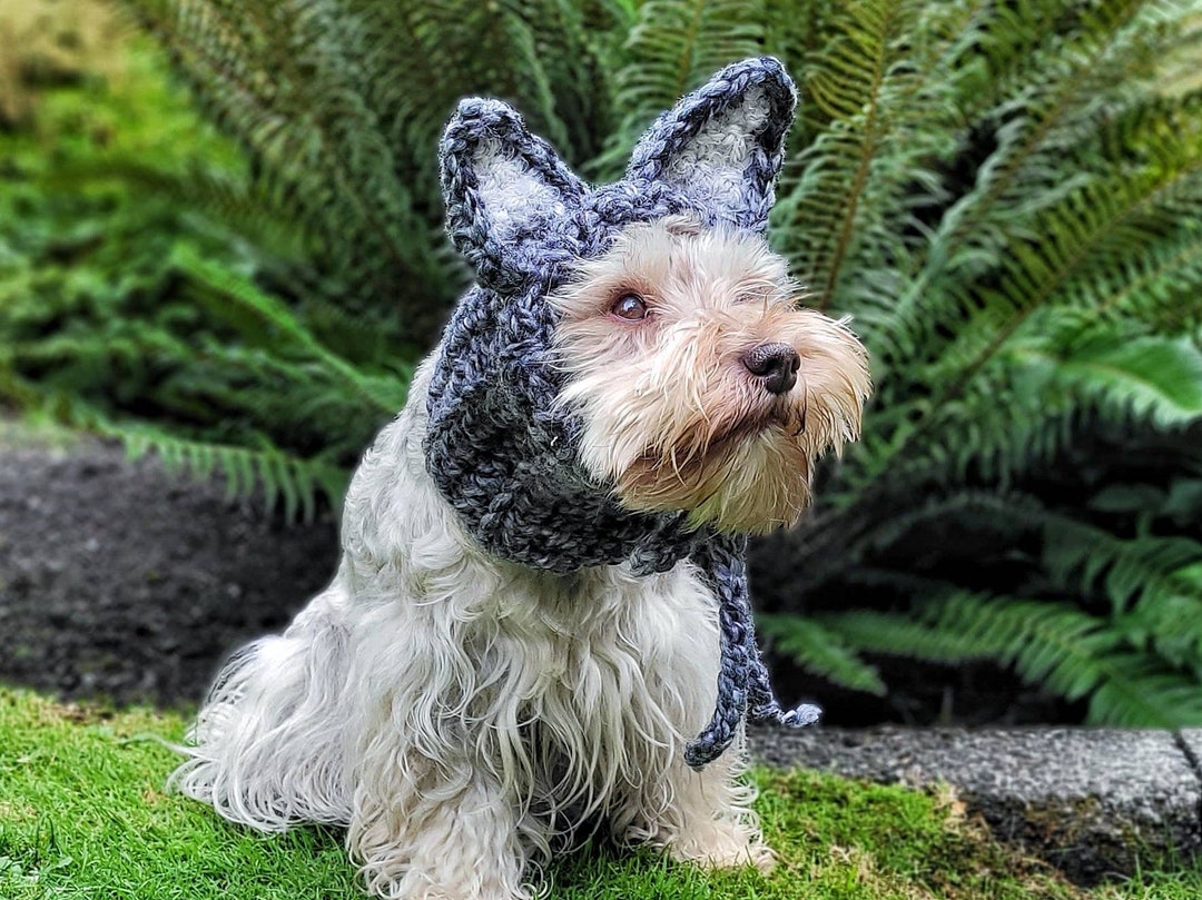 Fox or Wolf Dog Snood Foxy Halloween Costume Gift for - Etsy