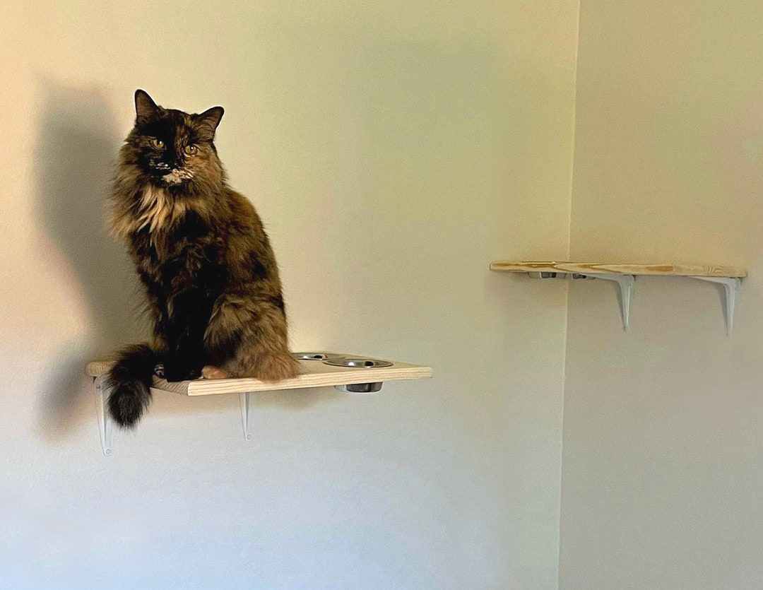 Two Heavy Duty, Raised Cat Feeding Shelf Stations, Wall Mounted Dog ...