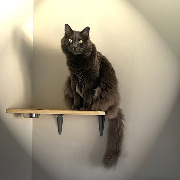 Dog Proof Cat Feeding Station - Etsy