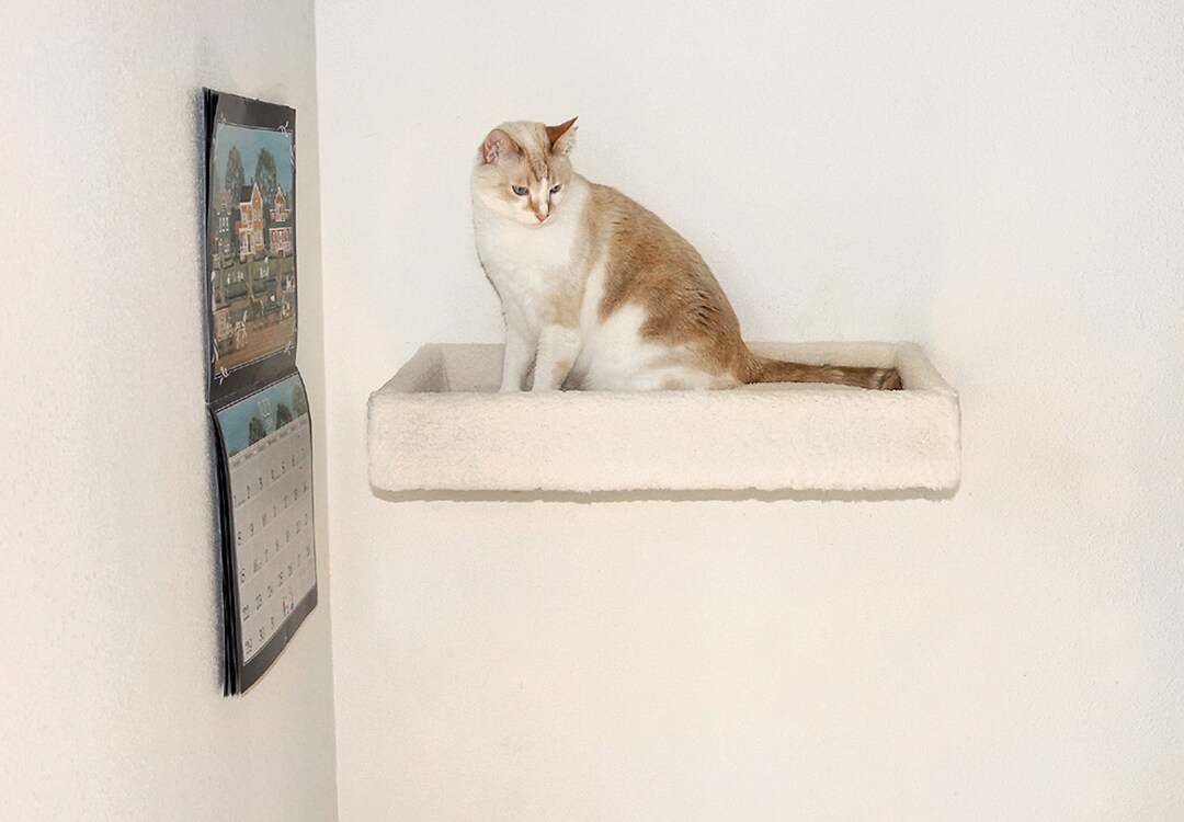 Wall Mounted Catio Cat Bed Large Size, Free Floating Design, Handmade ...