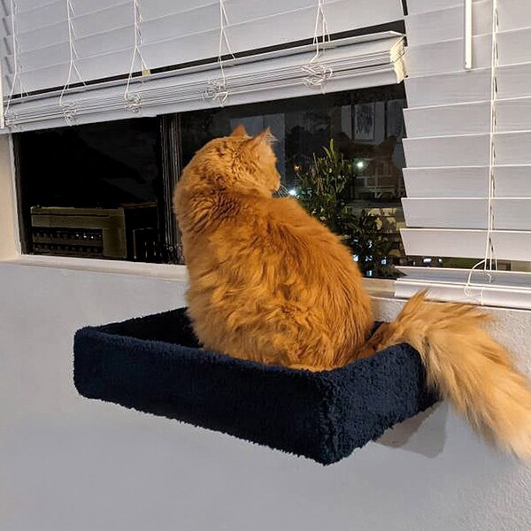 Cat Window Box - Etsy