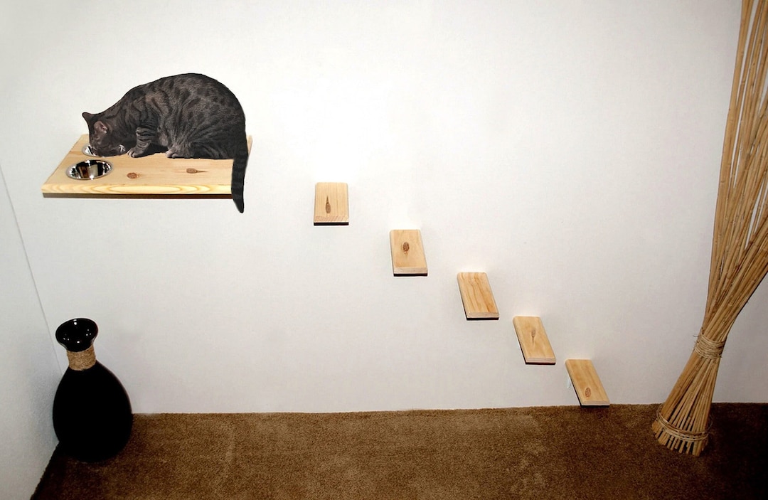 DIY Cat Feeding Station Wall Mounted Elevated Food Platform - Etsy