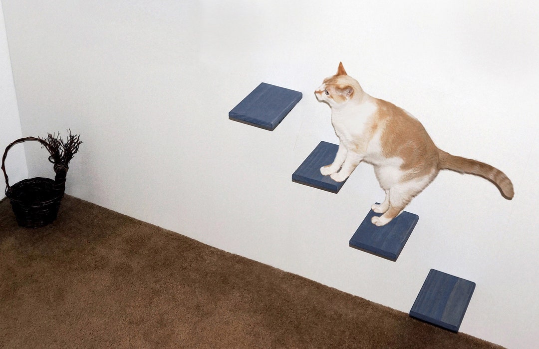 Large Cat Climbing Steps Wide & Long, Set of 4 Wall Mounted Shelves ...