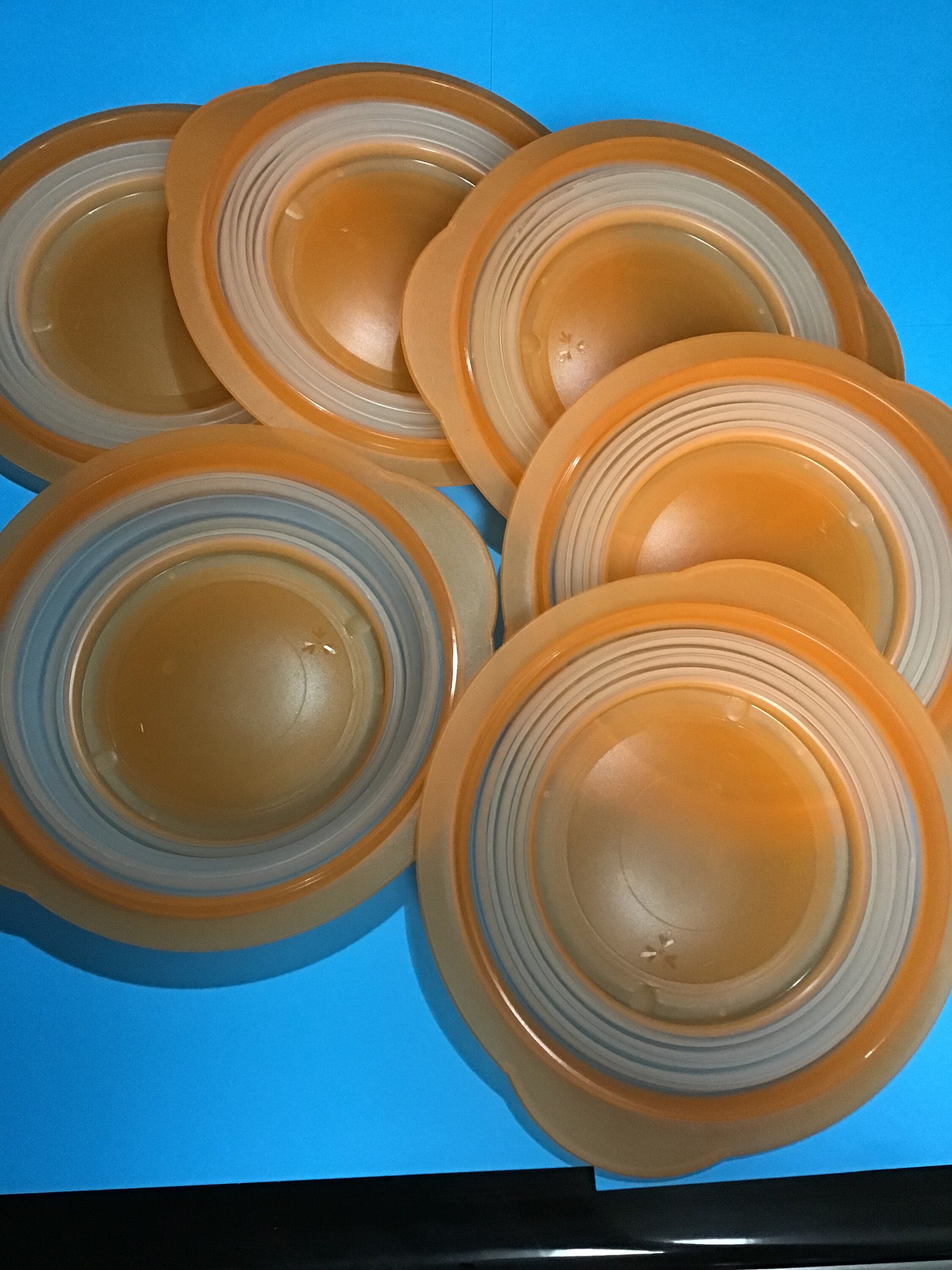 Vintage Tupperware Flat-out Storage Bowl With Lid Orange and - Etsy