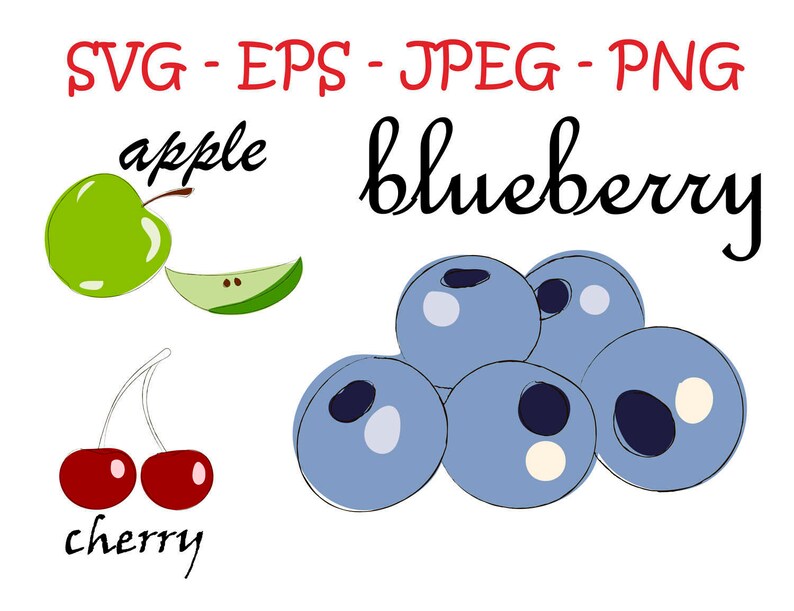 Set Summer Fruits and Berries Vector Designs With Transparent Png ...