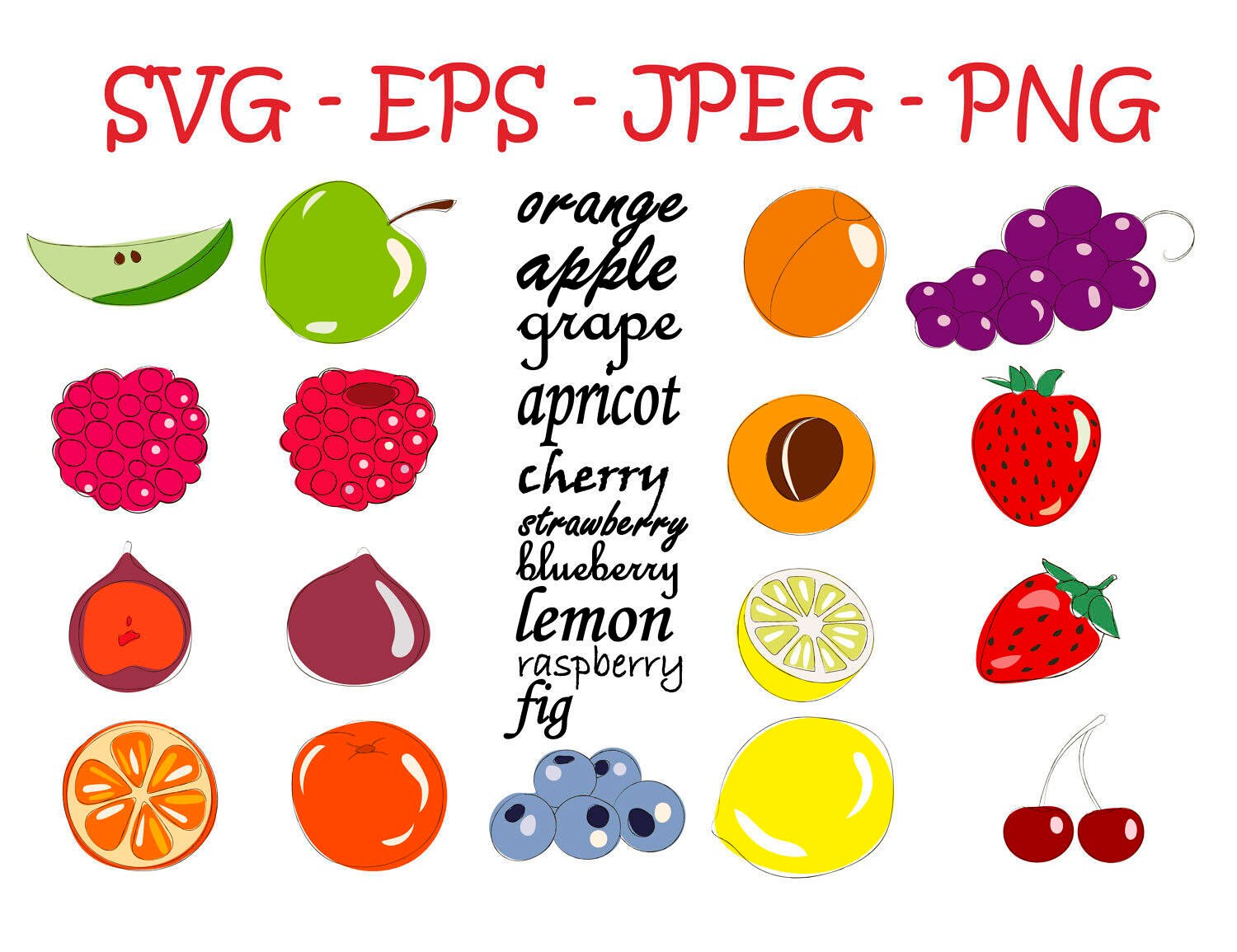 Set Summer Fruits and Berries Vector Designs With Transparent Png ...
