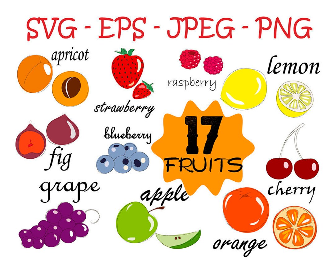 Set Summer Fruits and Berries Vector Designs With Transparent Png ...