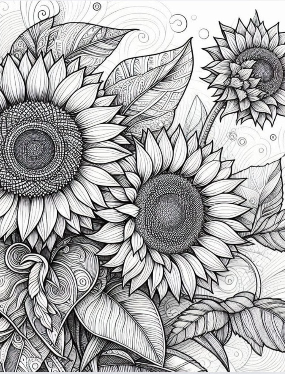 Sunflower Adult Coloring Pages for Stress Relief - Etsy