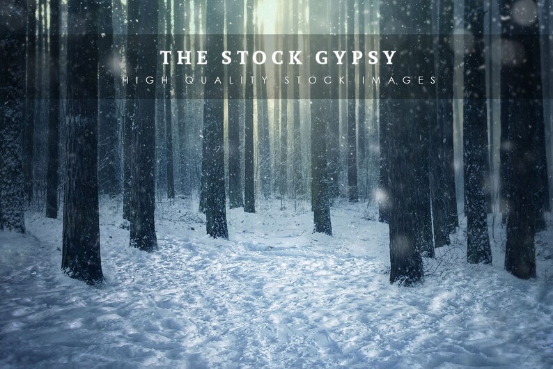 Magic Snow Forest Background for Photoshop - Etsy