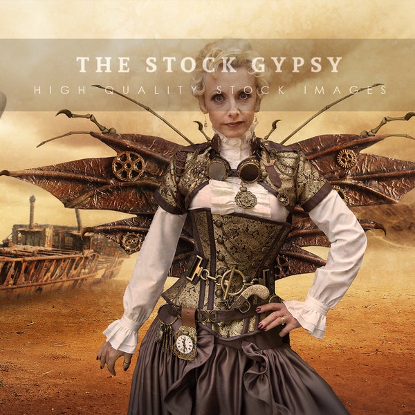 Steampunk Wings - Etsy