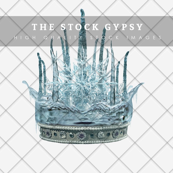 Ice Crown - Etsy