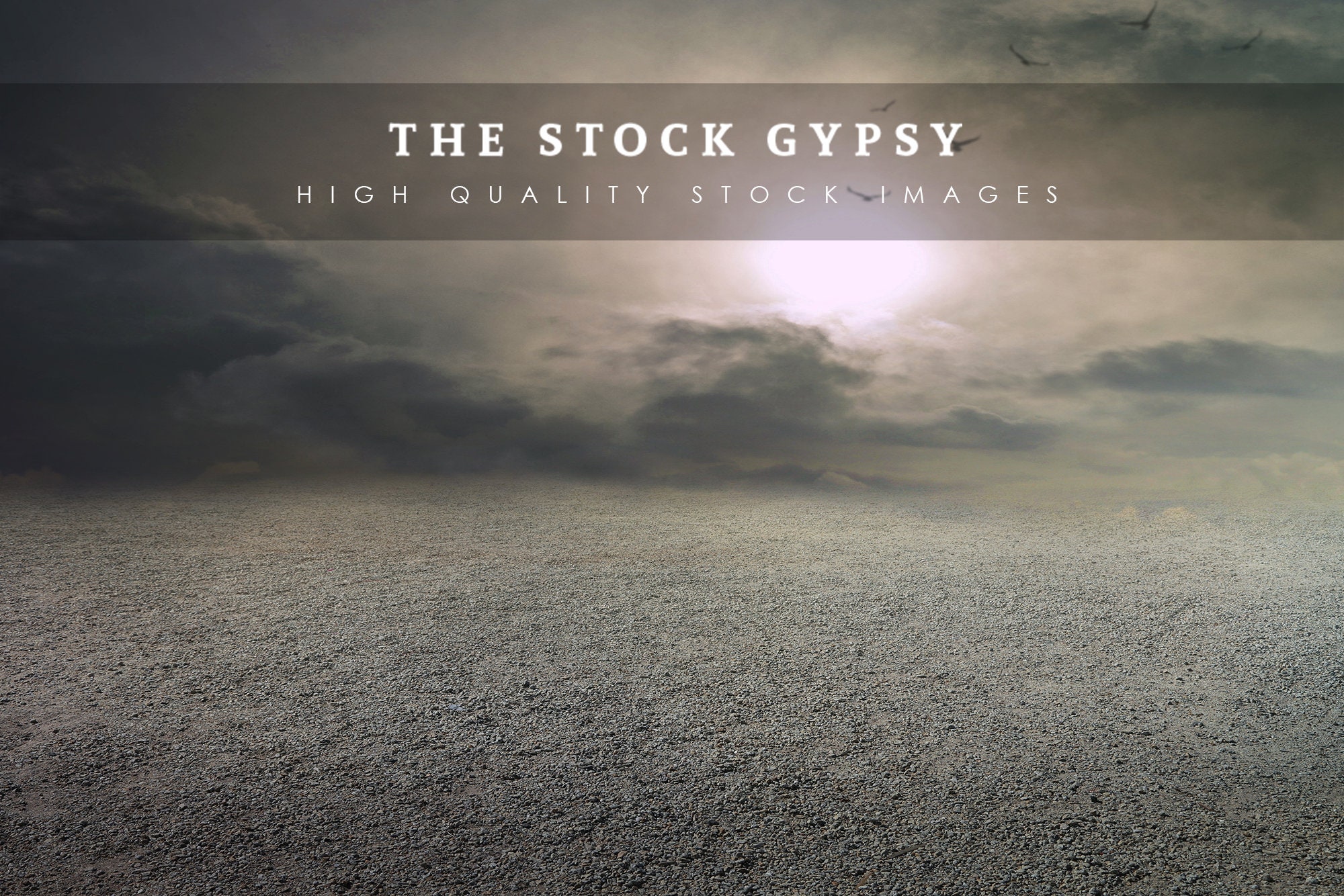 Dark Desolate Landscape