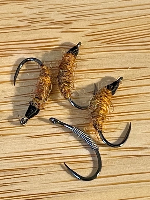 Scud Bug From Little Red River