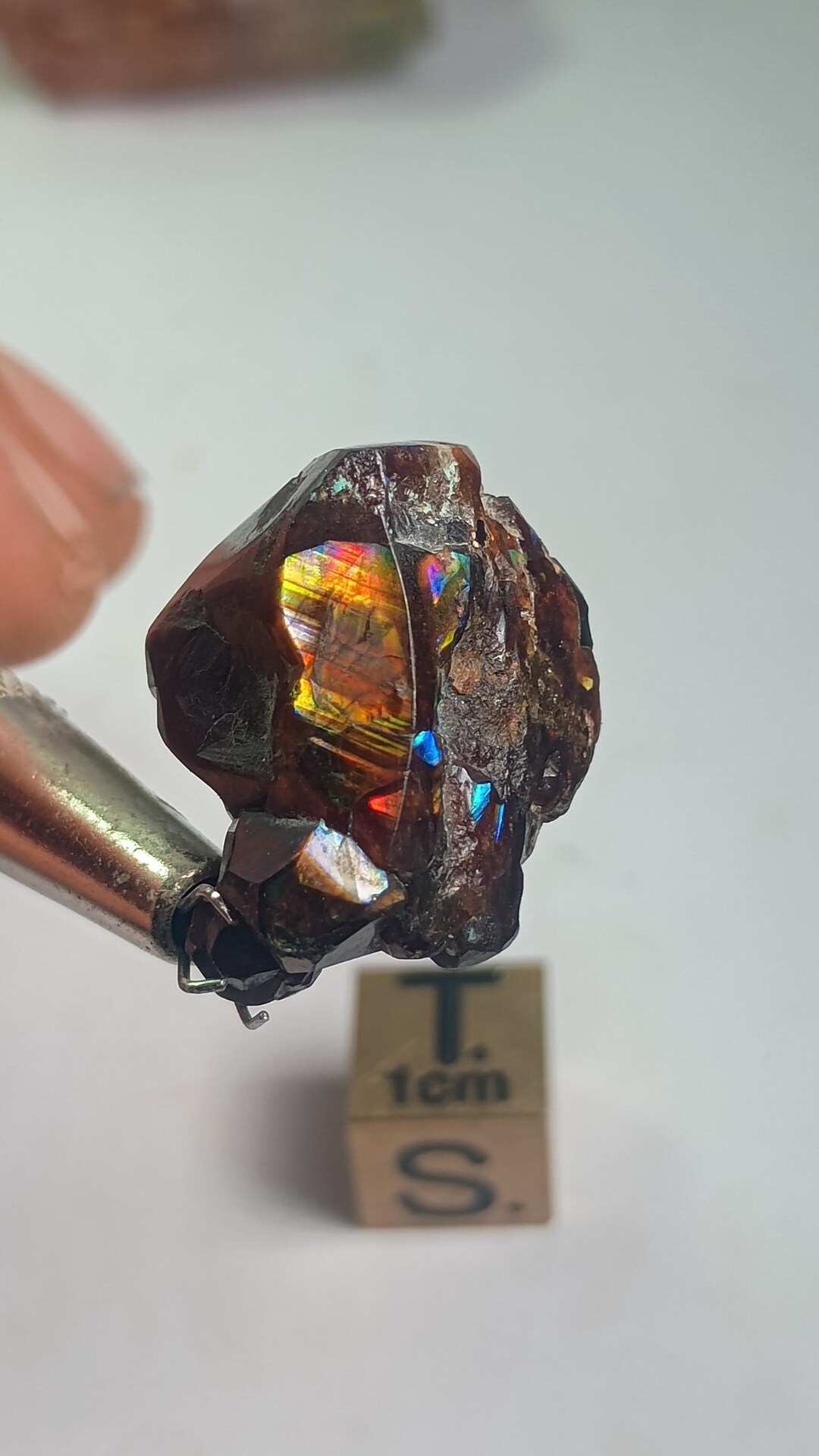 XL Rainbow Garnet/polished Andradite - Etsy