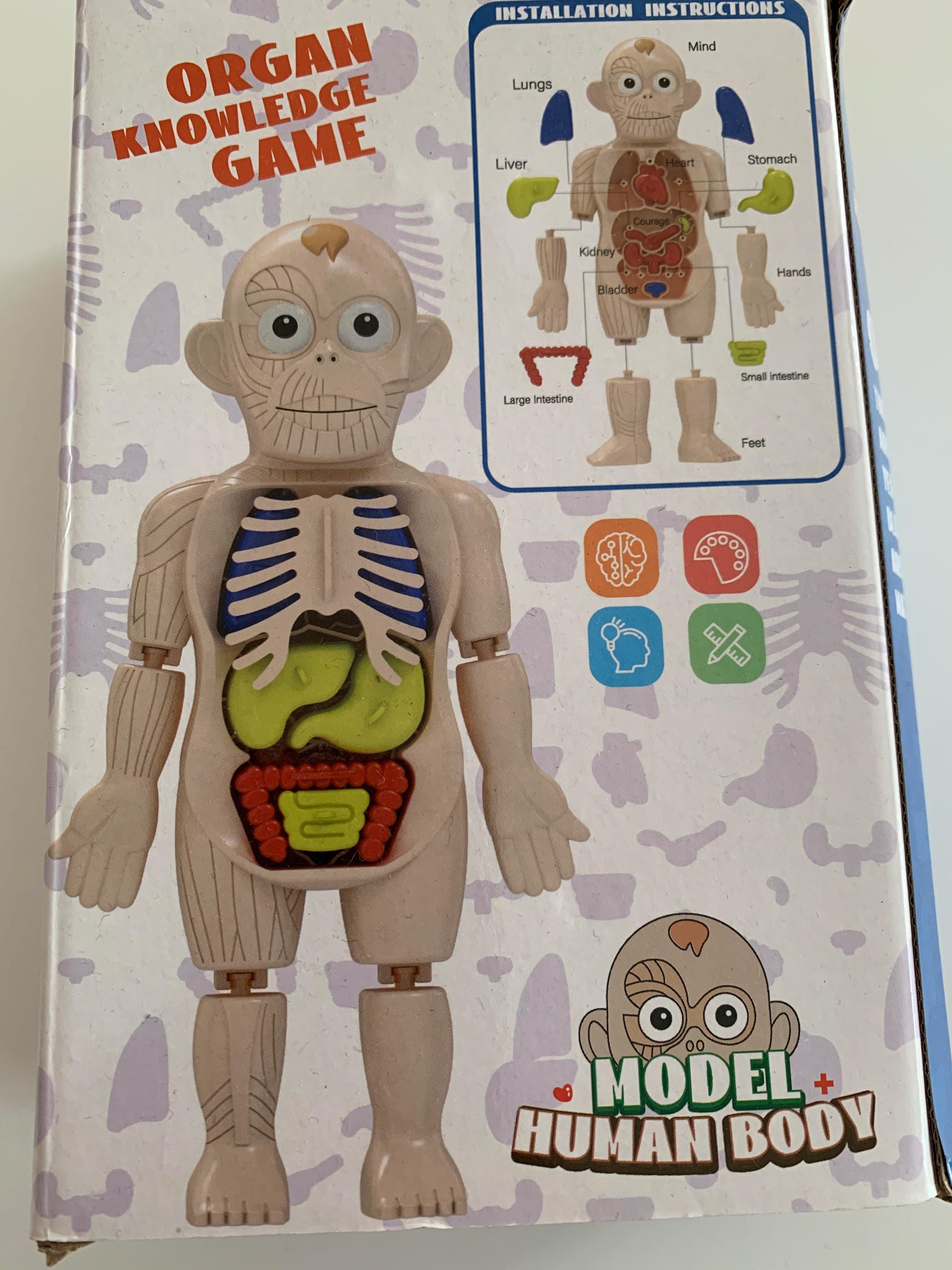 Kids' Montessori Model 3D DIY Human Body Anatomy Puzzle Educational ...