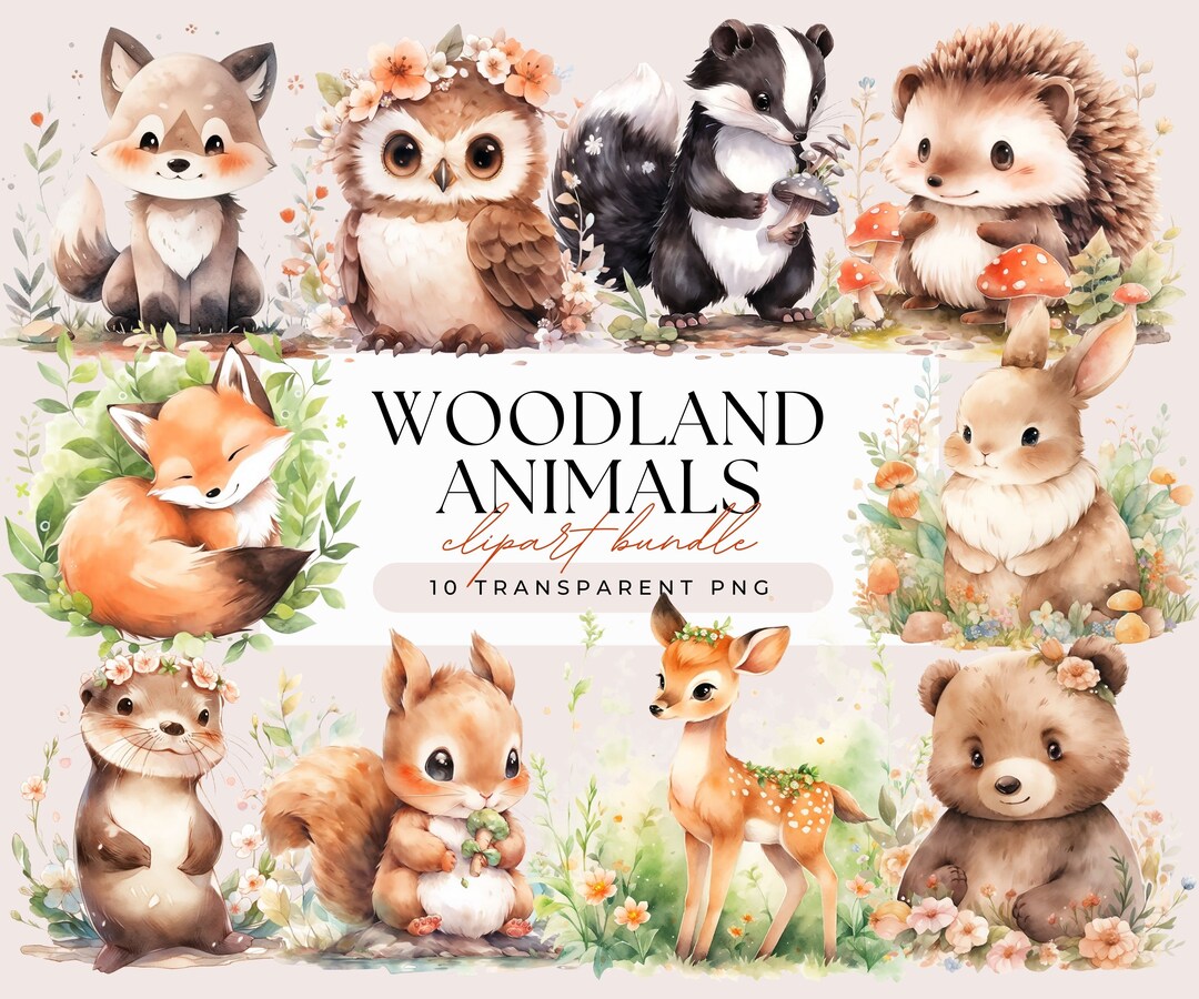 Woodland Animals Clipart Bundle Watercolor Kawaii Baby Animals Fox ...