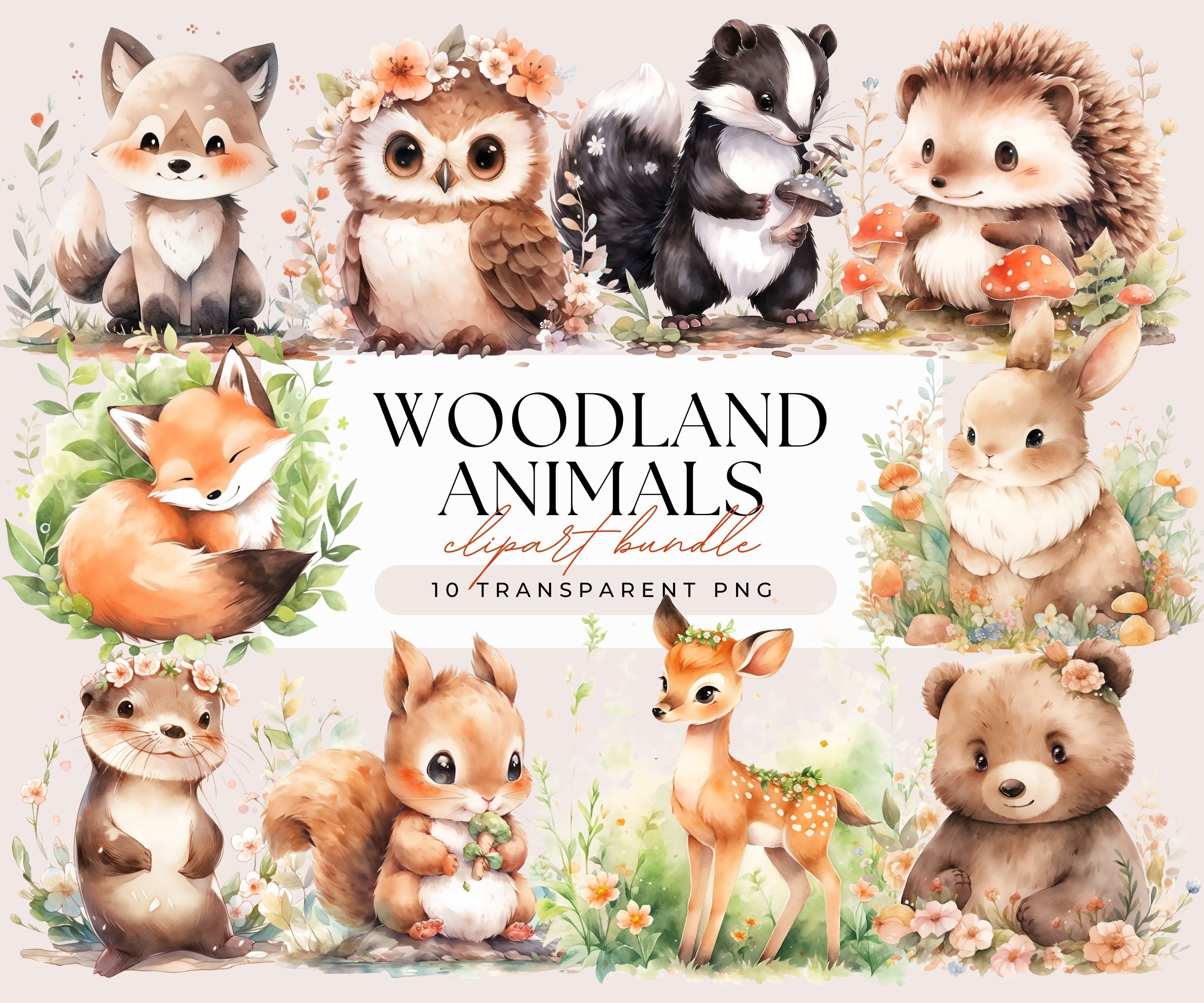 Woodland Animals Clipart Bundle Watercolor Kawaii Baby Animals Fox ...