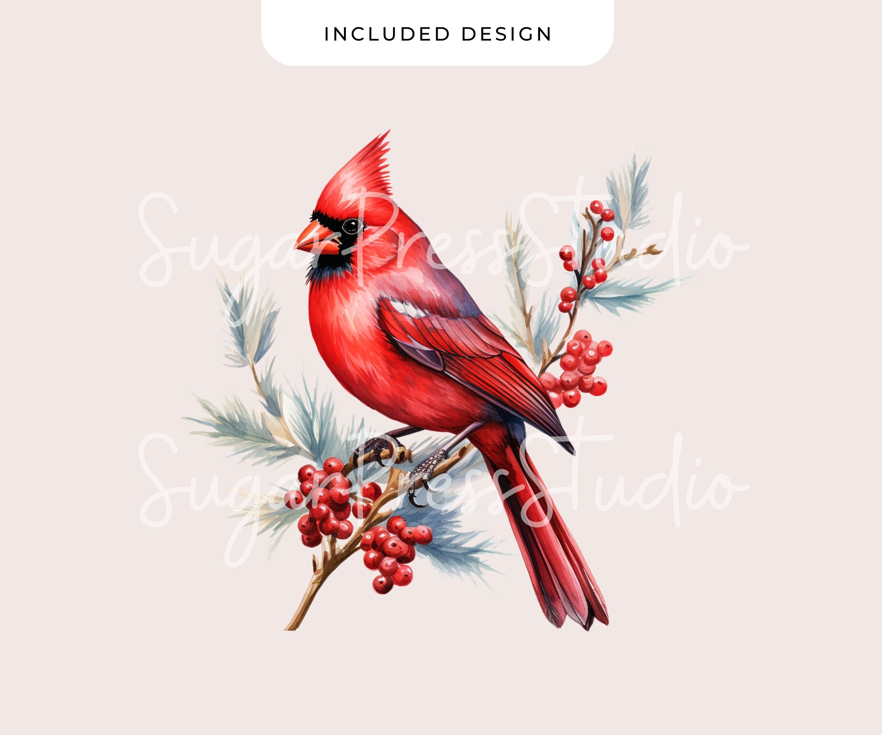 Red Cardinal Clipart - Watercolor Christmas Holiday Red Cardinal Bird ...