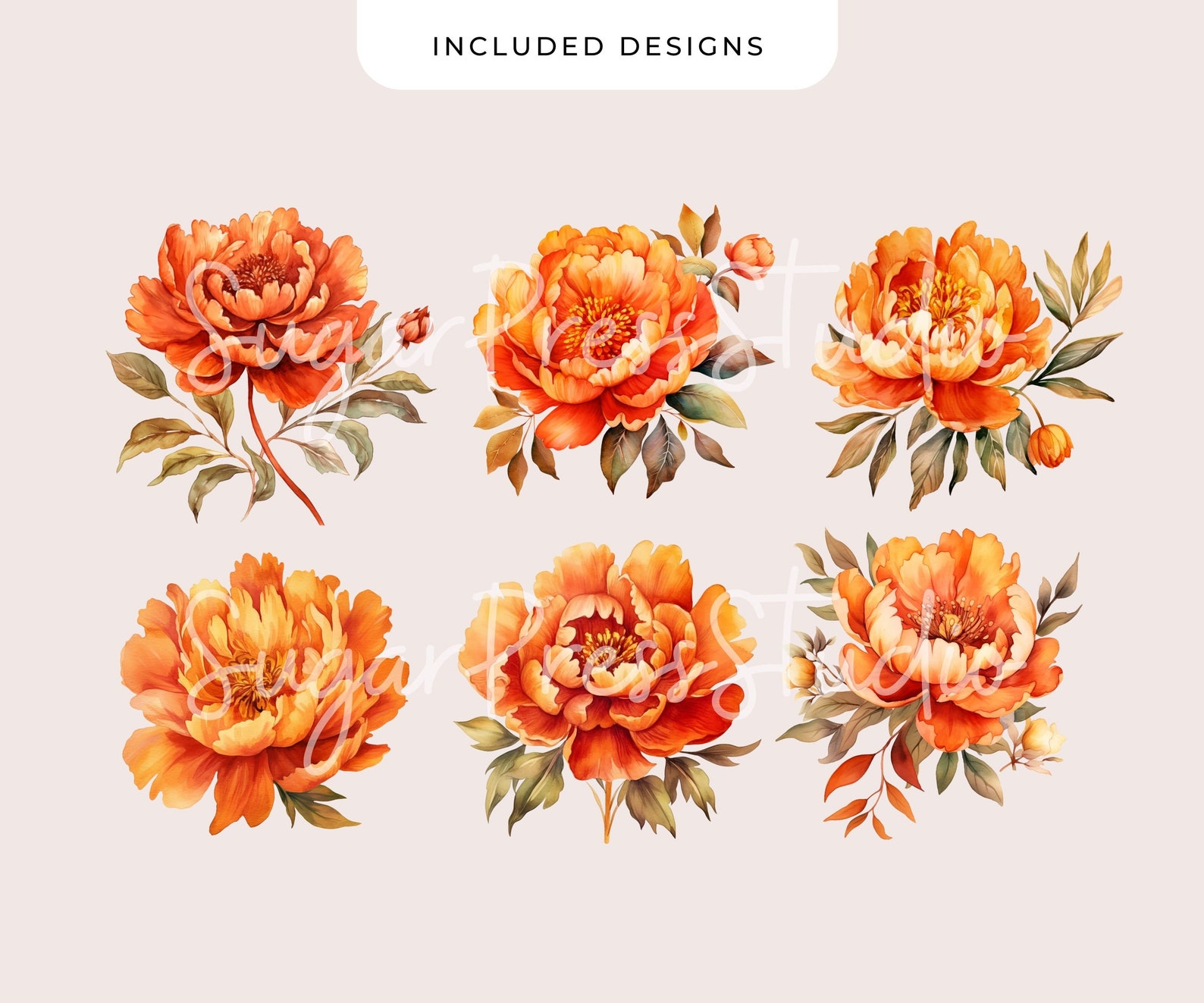Burnt Orange Peony Flower Clipart Bundle - Watercolor Orange Peonies ...