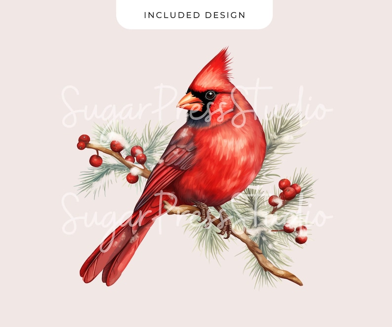 Red Cardinal Clipart - Watercolor Christmas Holiday Red Cardinal Bird ...
