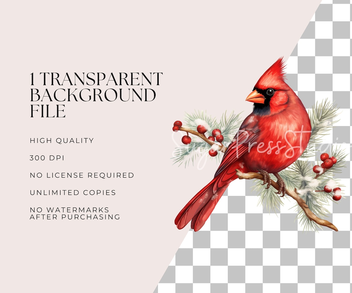 Red Cardinal Clipart - Watercolor Christmas Holiday Red Cardinal Bird ...