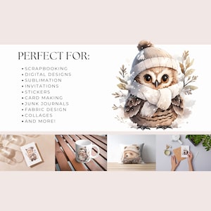Winter Woodland Animals Clipart Bundle - Watercolor Christmas Forest ...