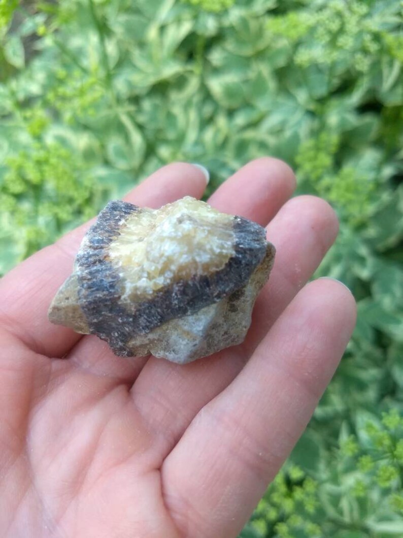 Septarian Nodule Raw Powerful Grounding Crystal Reiki Chakra | Etsy