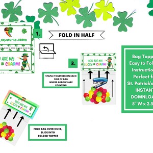 You Are My Lucky Charm Bag Topper, Lucky Charm Favors, Lucky Charm Bag ...