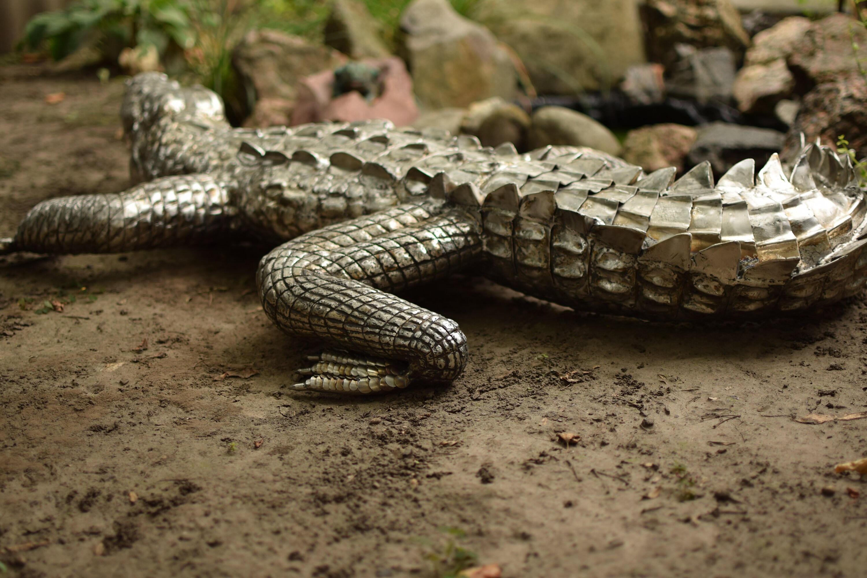 Crocodile Alligator Stainless Steel Metal Sculpture, Garden Reptile ...
