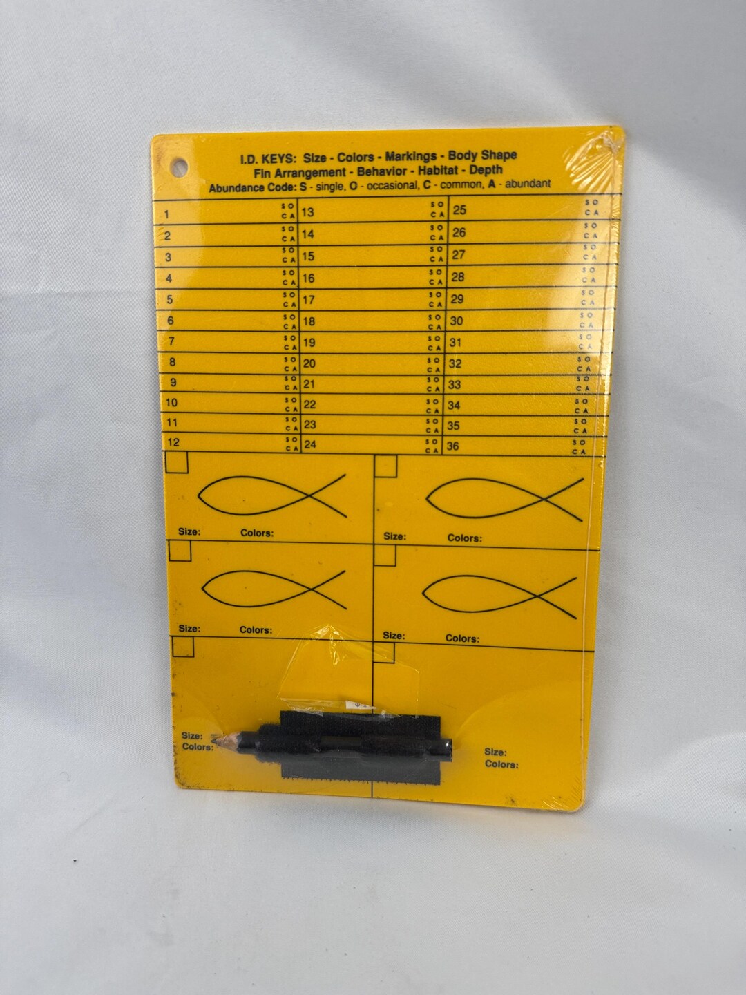 Vintage Fishing Clipboard - Fish Inventory and Identification, Vintage ...
