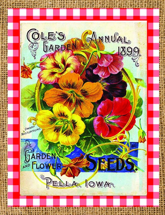 Vintage Seed Packet Sign Two Versions Flower Seed Packet | Etsy