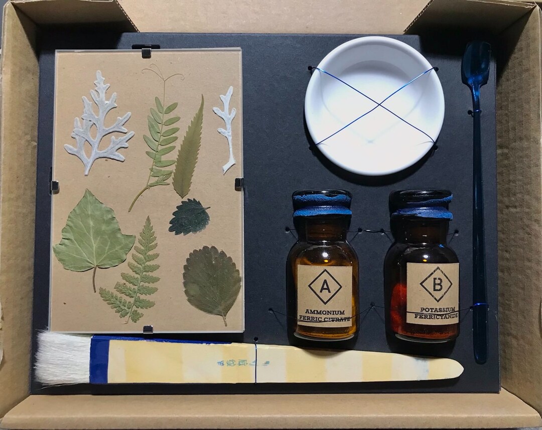 Plastic Free Cyanotype Kit / Blueprints for Everyone thecyanotypekit - Etsy