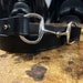 Horse Bit Belt | Leather Belt | Horse Bit Belt Buckle | Equestrian Gift ...