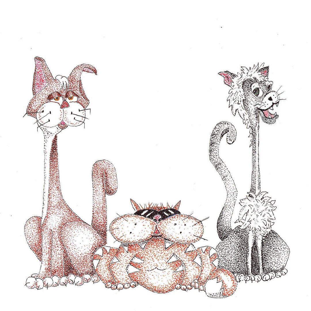 Key West Cats/funny Cats/scruffy Cats Card/all Cards Fits Into a 5"x 7 ...
