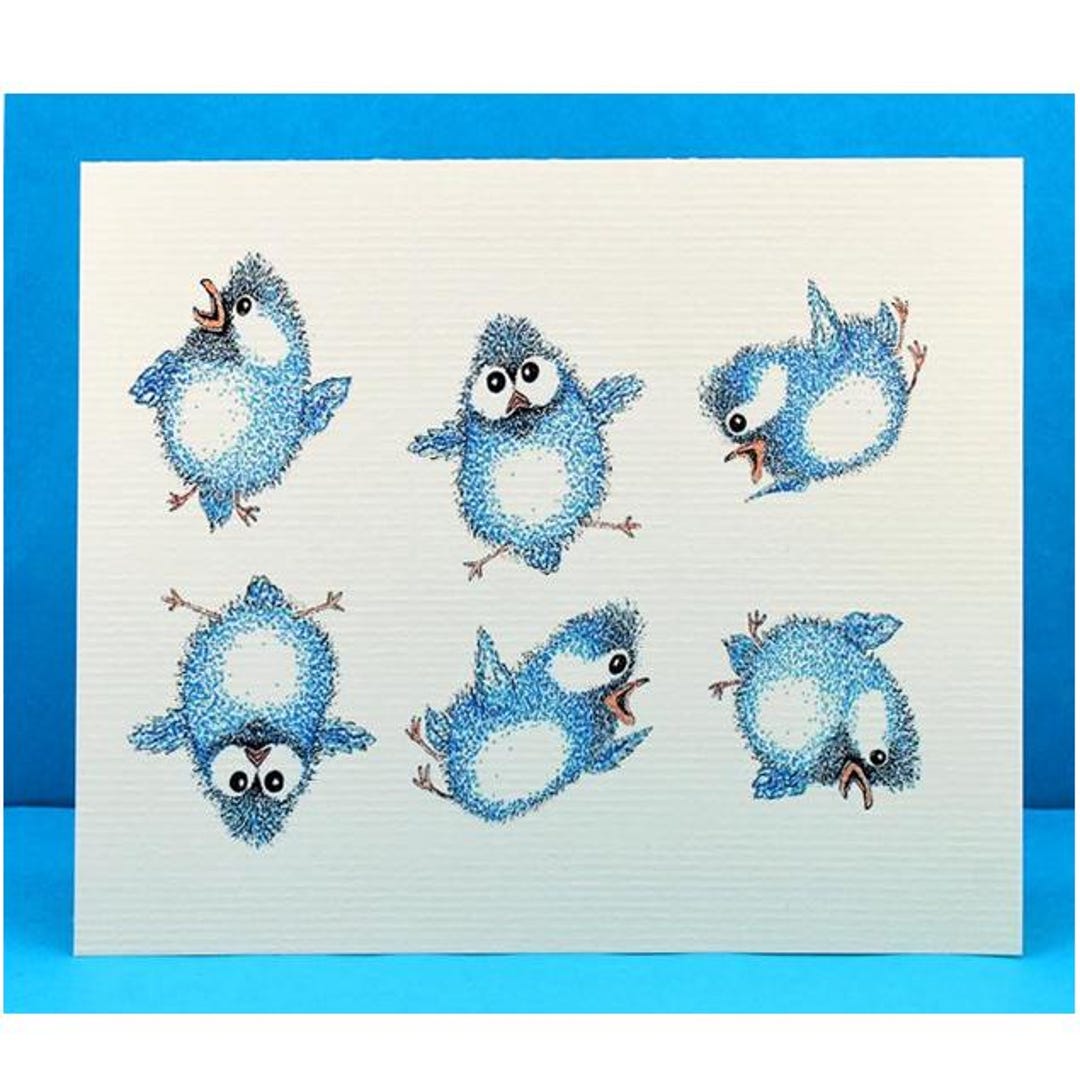 Blue Birds Blank Inside Card/bird Card/baby Bird Card/babybluebirds ...