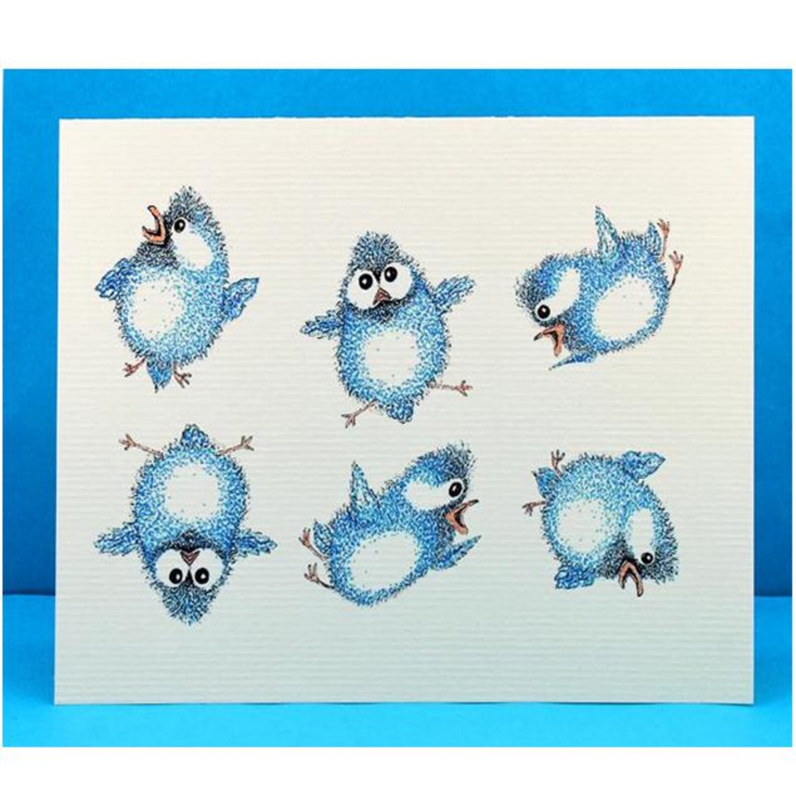 Blue Birds Blank Inside Card/bird Card/baby Bird Card/babybluebirds ...