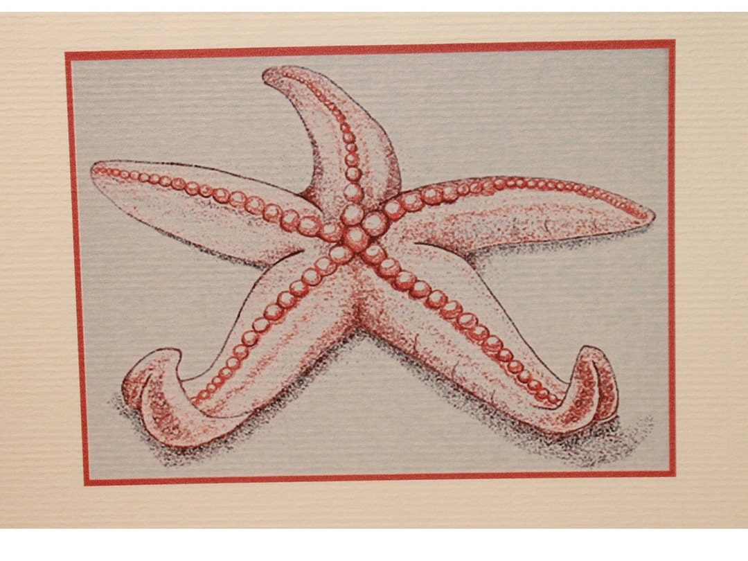 Starfish Blank Inside Card/starfish Card/starfish Stipple Art/colorful ...