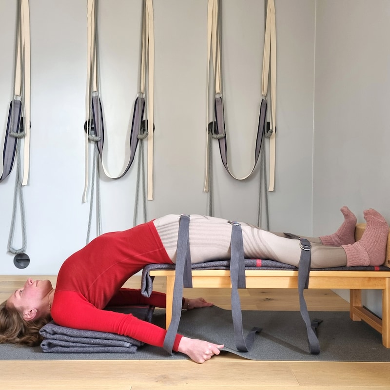 Breeding Bench - Etsy