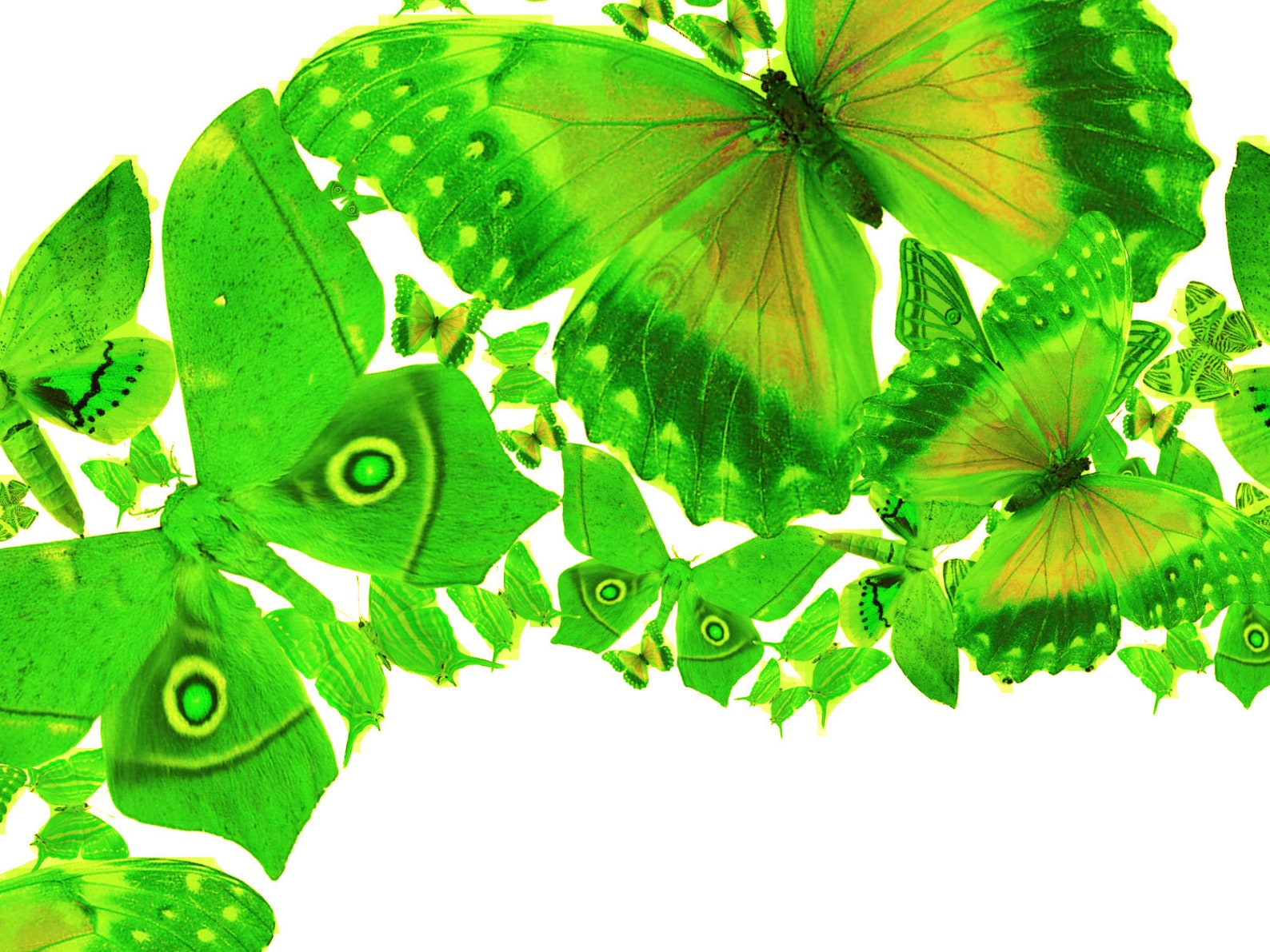 Digital Download of Yoga Drawing. Wheel Pose. Yoga | Etsy