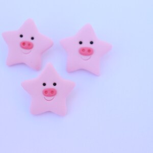 Pig Star Brooch, Funny Pin Gift, Pig Lover, Animal Lover Letterbox Gift ...
