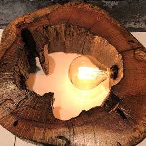 ON SALE Driftwood Lighting: Hollow Log Lamp 3 of 6-same Log , W/edison ...
