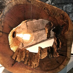 ON SALE Driftwood Lighting: Hollow Log Lamp 3 of 6-same Log , W/edison ...