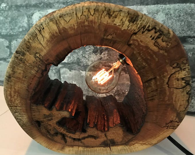 Driftwood Log Lighting: Beautiful Hollow Log Lamp 6 of 6 W/ Bulb ...