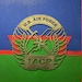 Air Force TACP Crest - Tactical Air Control Party - Etsy