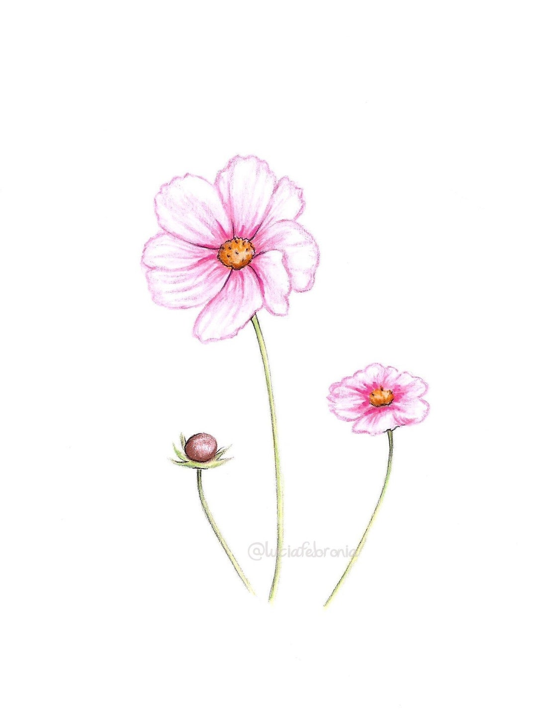 Pink Flower Print, Printable Flowers, Shabby Chic Prints, Pink Flower ...