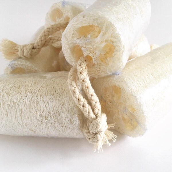 Loofah Luffa - Etsy