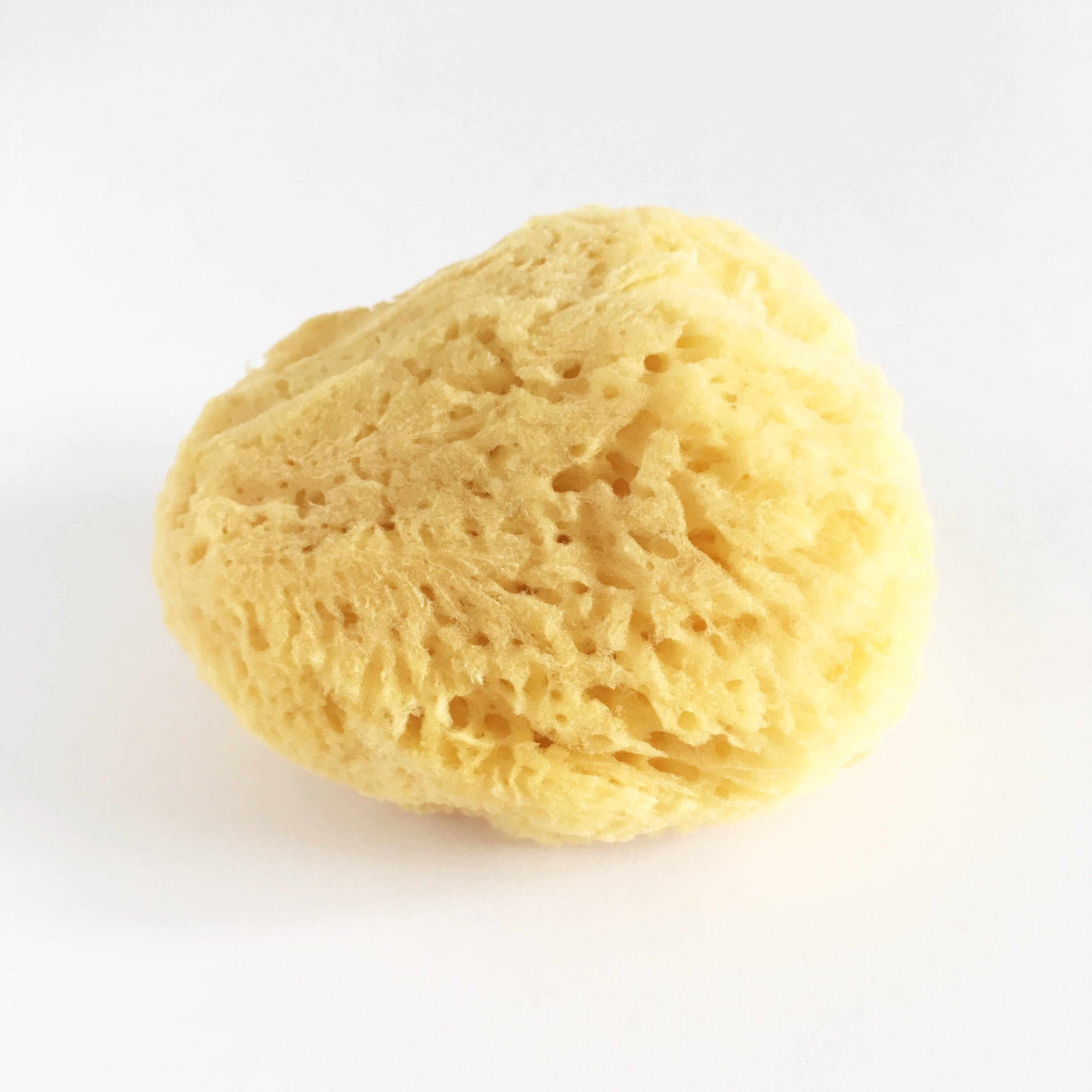 Natural Dead Sea Bath Sponge Luxurious Natural Sponge Bath - Etsy
