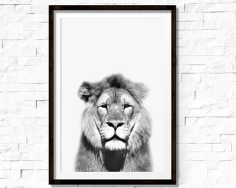 Lion print | Etsy