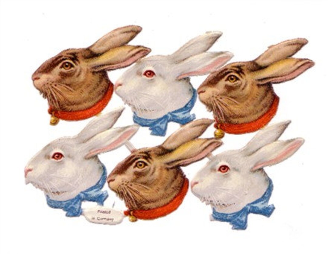 Large Antique Rabbit Heads - Etsy