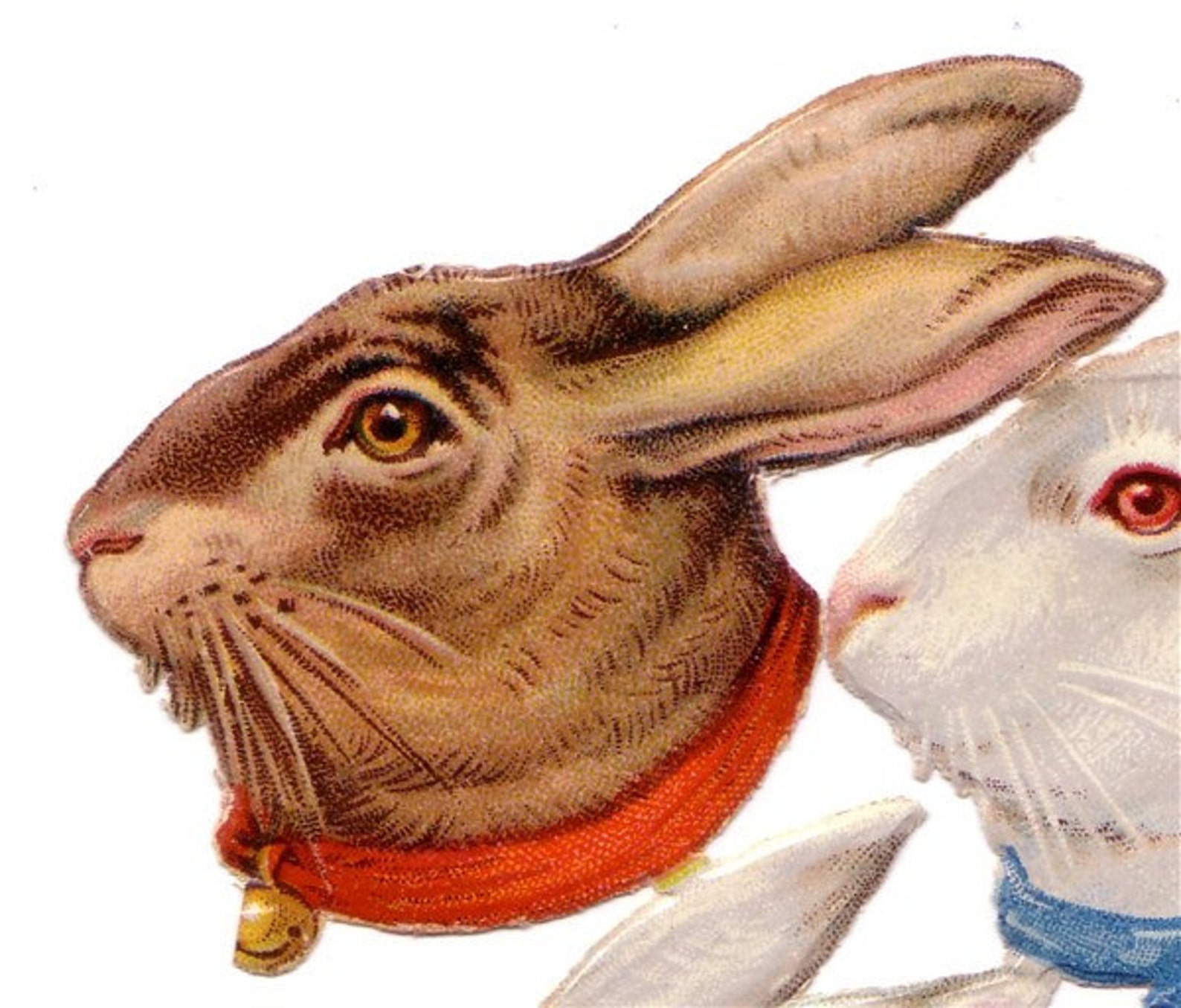 Large Antique Rabbit Heads - Etsy